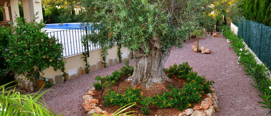 Jardines y Zonas Verdes – Grupo Quini